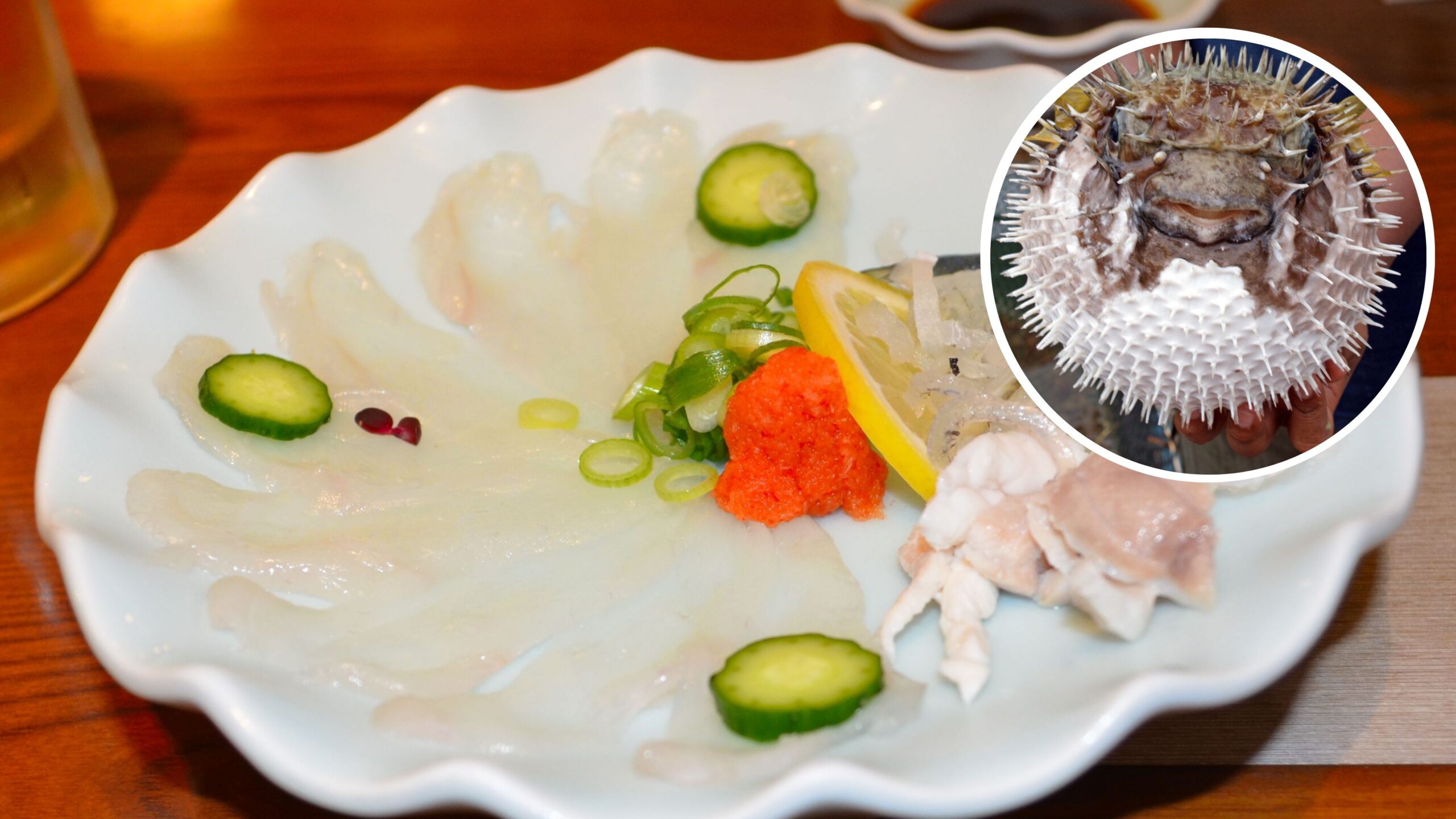 Fugu Sashimi: Sensasi Makan Ikan Beracun yang Aman dan Nikmat ...